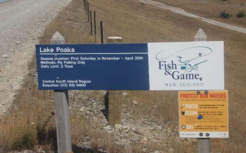 Lake Poaka Foreshore | Freedom/Basic Camp | New Zealand